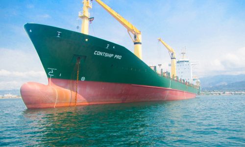 Fleet Overview - Contships Management Inc.